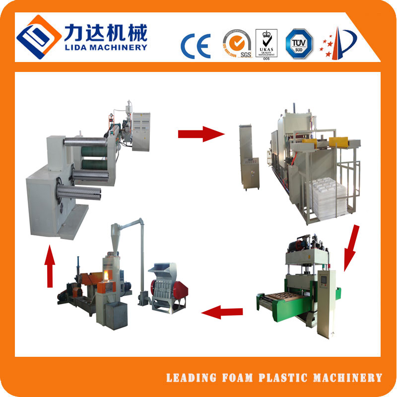 PS Foam Disposable Lunch Box Making Machine - Leading Foamed Plastic ...
